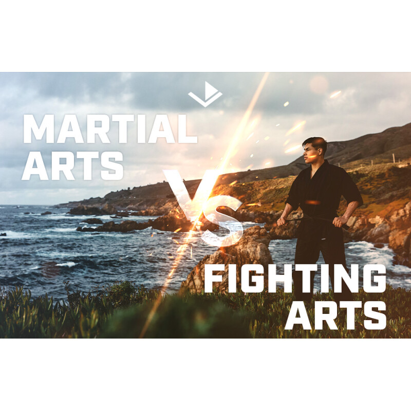 Martial Arts vs. Fighting Arts
